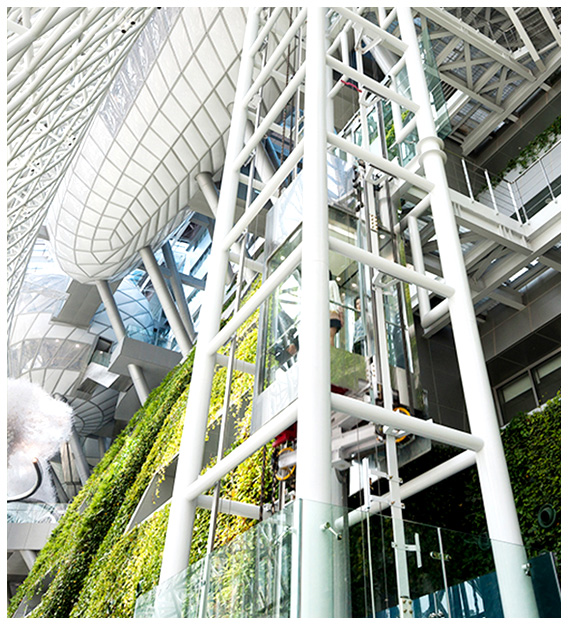 Binham North Ocean Elevator LLC